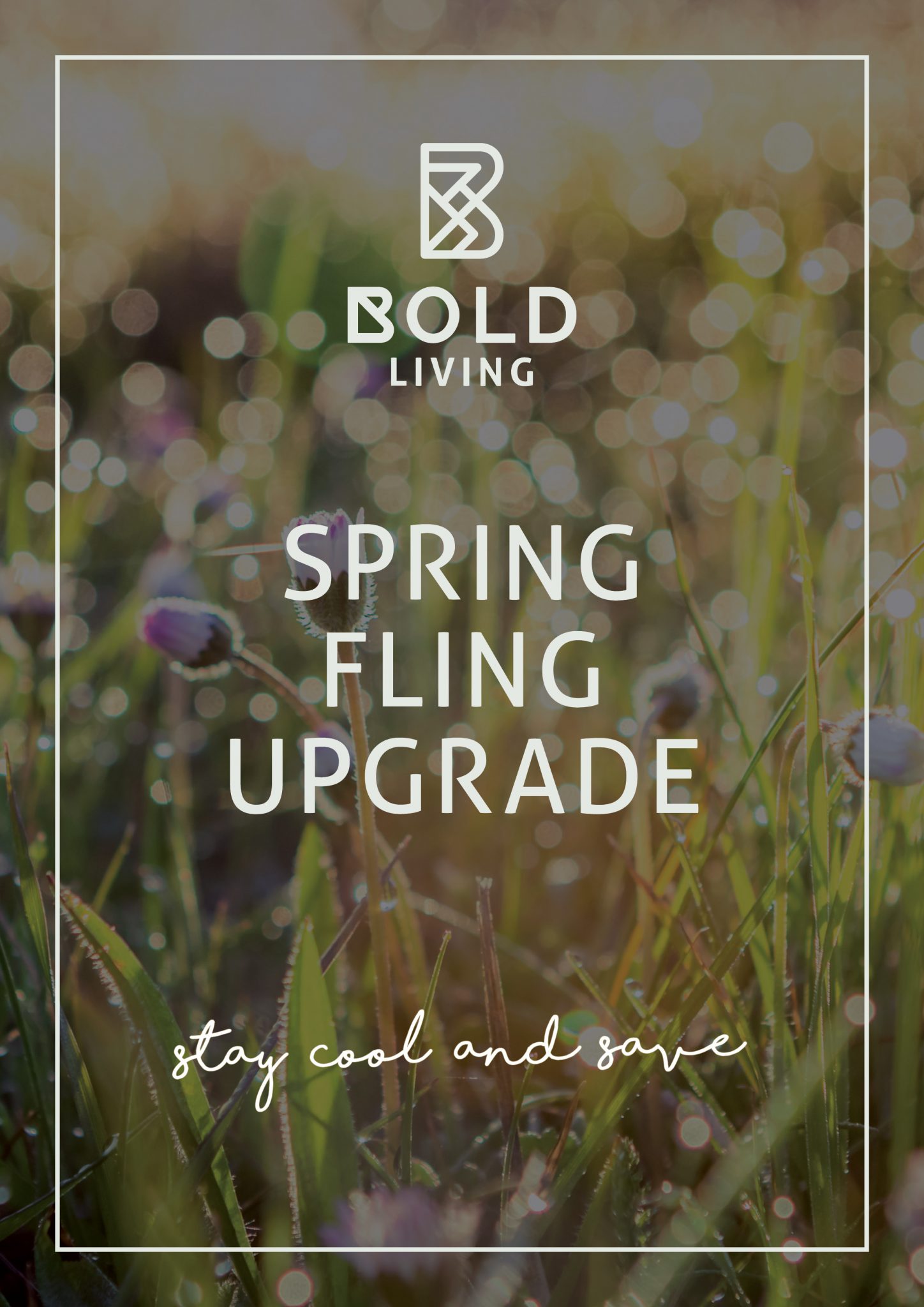 How Can We Help You? | Bold Living